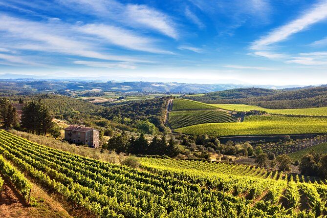 The Taste of Chianti:a Wine and Gourmet Private Tour with a truffle-based lunch - Authentic Experiences and Authentic Tastes