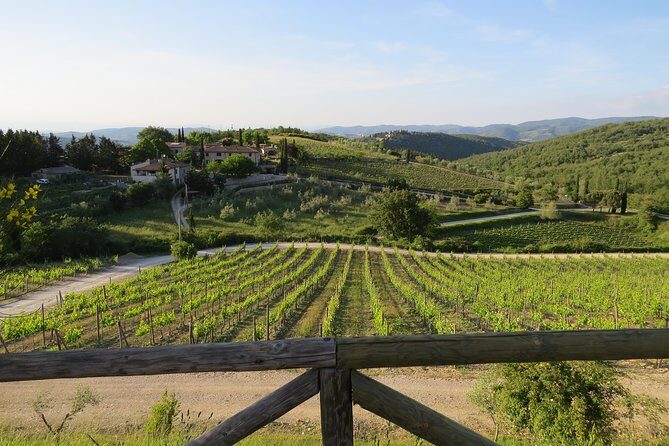 The Taste of Chianti:a Wine and Gourmet Private Tour with a truffle-based lunch - Who Would Love This Tour?