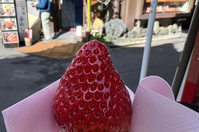 The Taste of Tsukiji A Tokyo Fish Market Food Tour With Guide - Who Should Book This Tour?