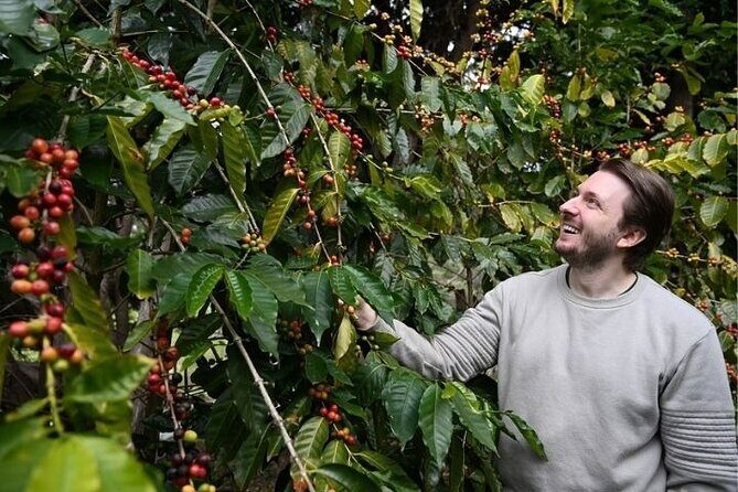 The Tastes of Tamborine Mountain - An Authentic Day in the Tamborine Hinterland
