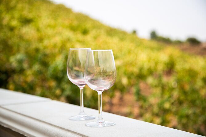 The Temecula Wine Tour from Orange County - An Inside Look at the Tour Itinerary