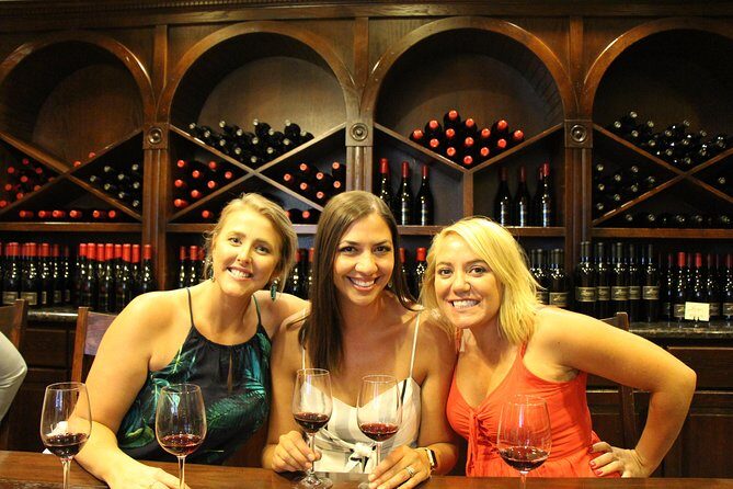 The Temecula Wine Tour from Orange County - Who Should Consider This Tour?