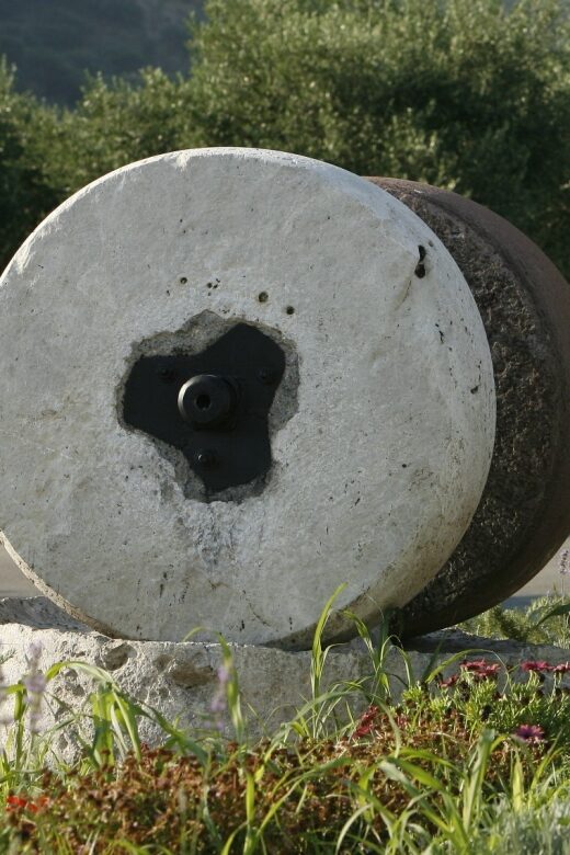 The Terra Creta Olive Oil Experience Tour - Frequently Asked Questions
