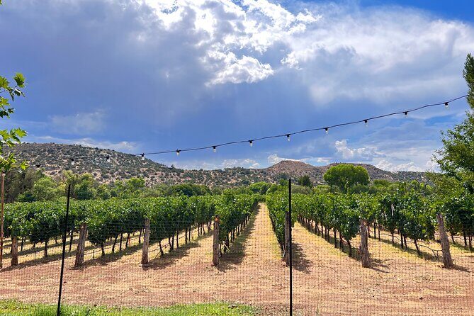 The Terrior Of The Verde Valley Wine Trail Tour - Discovering Arizona’s Hidden Wine Country