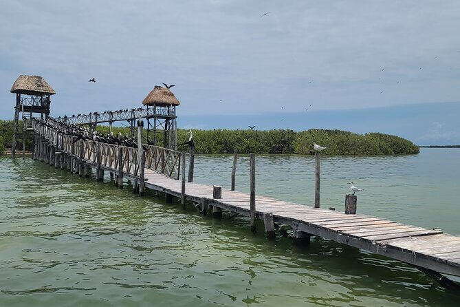 The Three Islands Tour Explore Holbox's Natural Wonders - FAQ