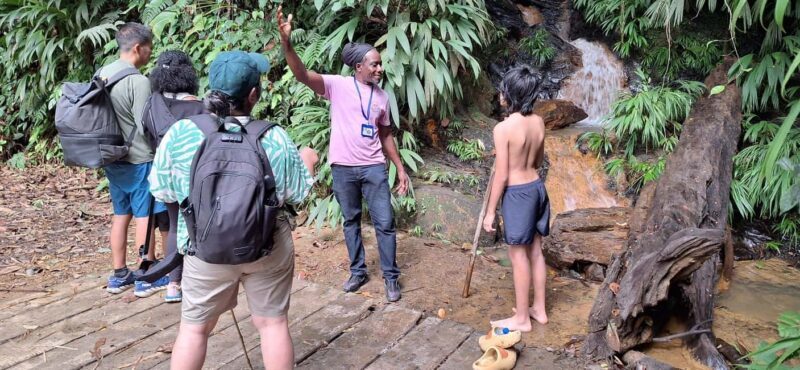 The Tobago Rainforest Tour - A Walk Through the Experience