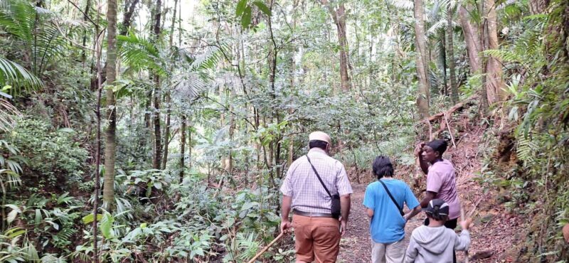 The Tobago Rainforest Tour - Authenticity and Unique Aspects