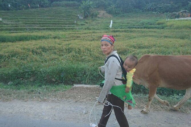 The Top Ha Giang Motorbike Tours All-Inclusive - Food & Cultural Experiences: Tasting Vietnam