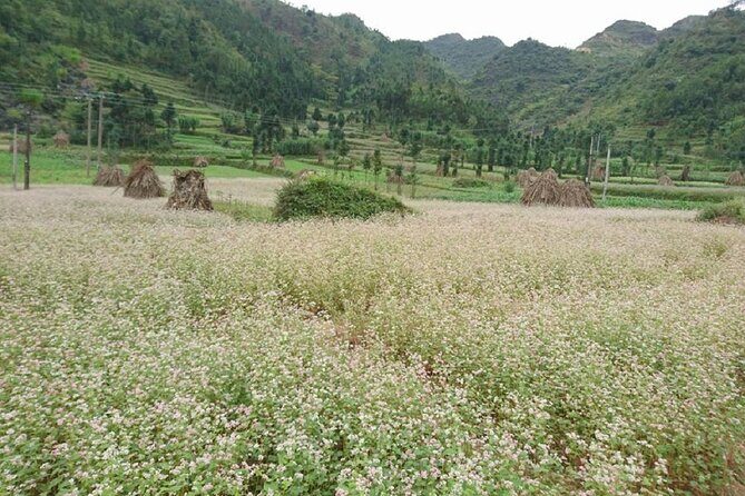 The Top Ha Giang Motorbike Tours All-Inclusive - What’s the Value?