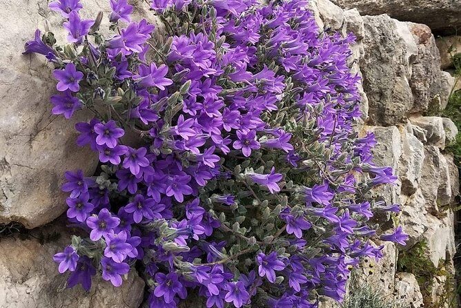 The Top Peloponnese Greece Luxury Private Tour - The Experience from Travelers’ Perspectives