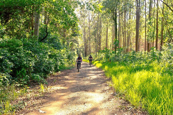 The Train Track Trail Mountain Bike Ride - Private experience - Key Points