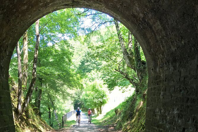 The Train Track Trail Mountain Bike Ride - Private experience - Why This Tour Stands Out