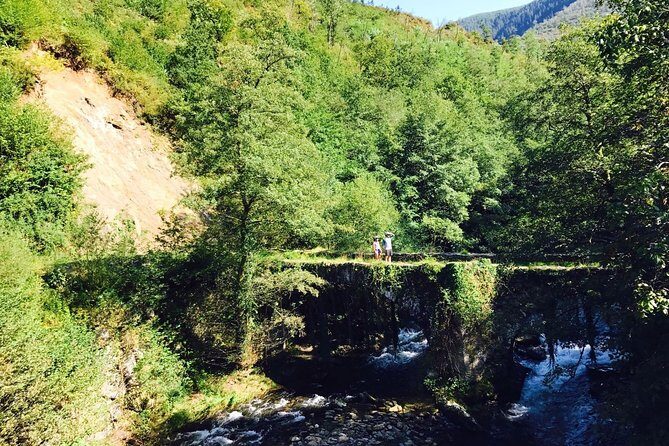 The Train Track Trail Mountain Bike Ride - Private experience - Practical Considerations