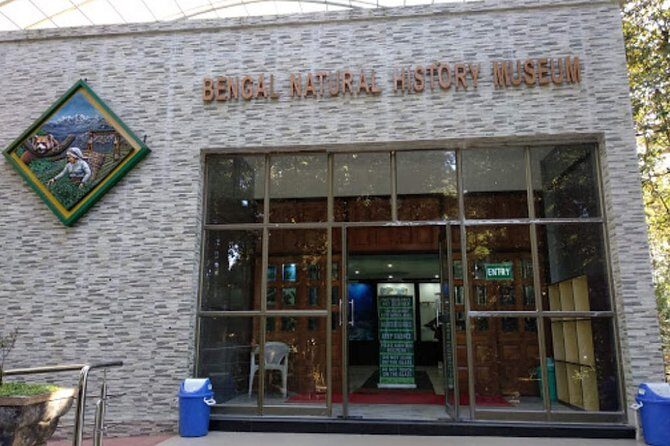 The Travel Tart (5 Point). - A Closer Look at the Itinerary