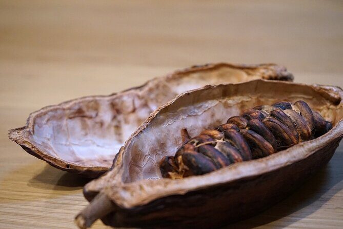 The Turin Chocolate Tasting Experience - The Sum Up