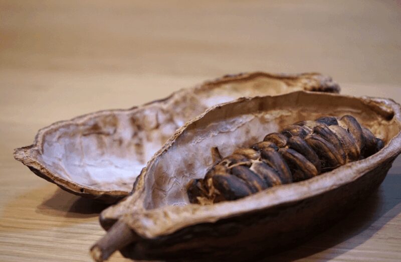 The Turin Chocolate & Wine Tasting Experience - A Deep Dive into the Turin Chocolate & Wine Tour