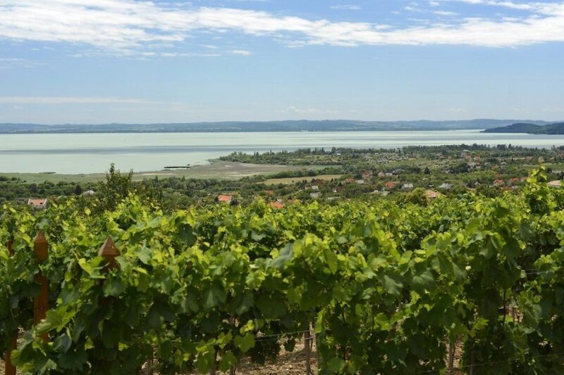 The Turquoise Sea of Hungary: Lake Balaton Private Tour - Key Points