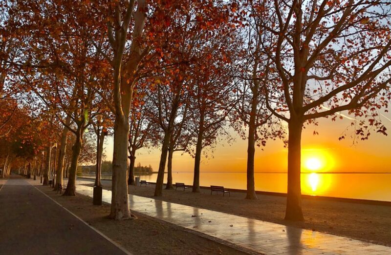 The Turquoise Sea of Hungary: Lake Balaton Private Tour - The Sum Up: Who Will Love This Tour?