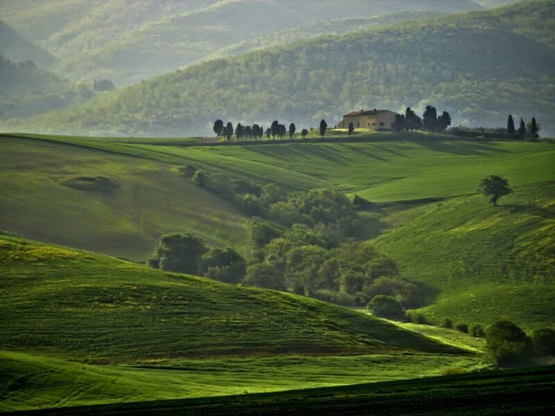 The Tuscan lavender field - Scenic Routes and Impressive Views