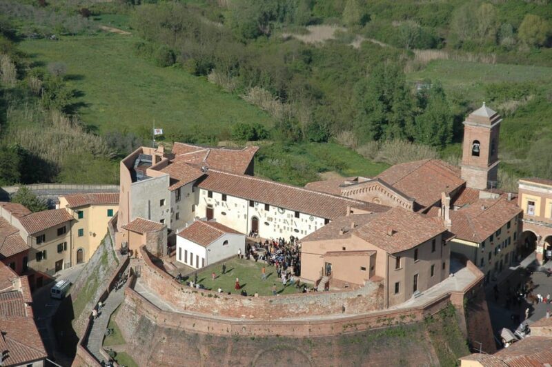 The Tuscan lavender field - Lavender Fields: The Heart of the Experience
