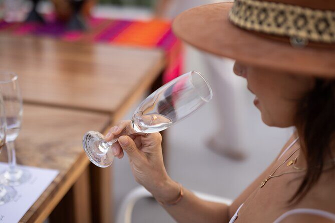 The Ultimate Agave Tasting with Tequila, Mezcal & more! - An In-Depth Look at the Agave Tasting Tour in Bucerias