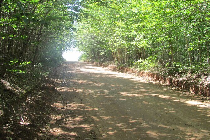 The Ultimate Anne of Green Gables Private Tour - Who Will Love This Tour?