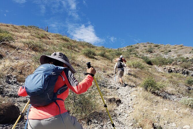 The Ultimate Camel Safari Experience in Los Cabos - What Makes the Camel Safari in Los Cabos Special