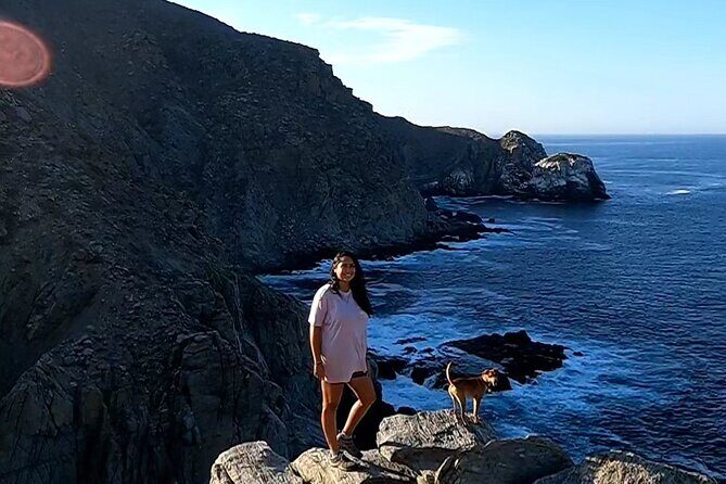 The Ultimate Camel Safari Experience in Los Cabos - The Itinerary — What to Expect