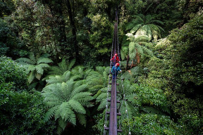 The Ultimate Canopy Zipline Experience Private Tour From Auckland - Analyzing the Value