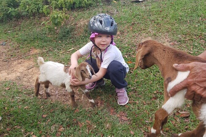 The Ultimate Dominican Horseback Riding Adventure - Who Will Love This Tour?