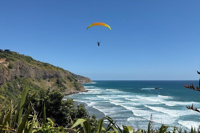 The Ultimate Muriwai Gannet Colony Experience Private Tour - Key Points