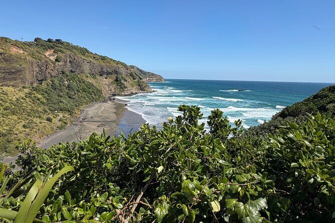 The Ultimate Muriwai Gannet Colony Experience Private Tour - Value and Cost Analysis