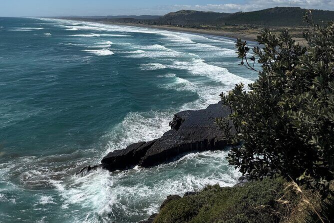 The Ultimate Muriwai Gannet Colony Experience Private Tour - FAQ