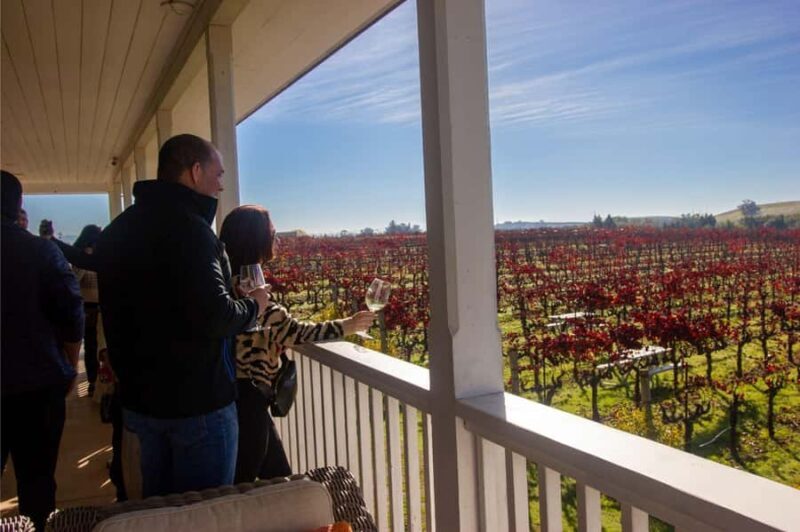 The Ultimate Napa & Sonoma Wine Tour - What Travelers Say