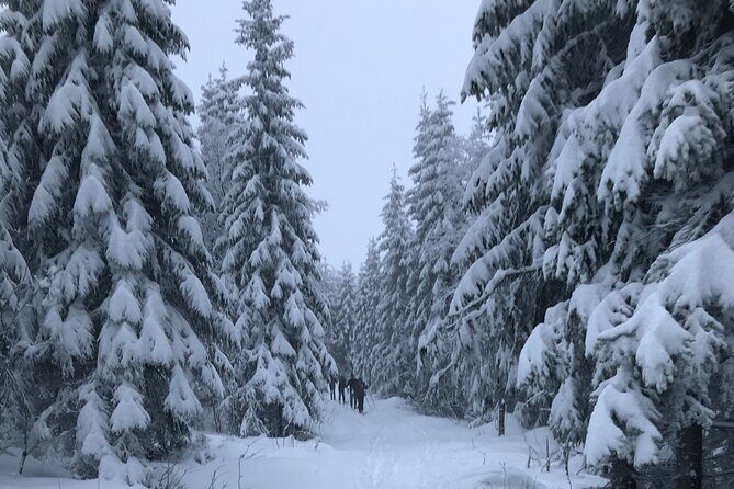 The Ultimate Norwegian Skiing Experience - Authenticity and Instructor Expertise