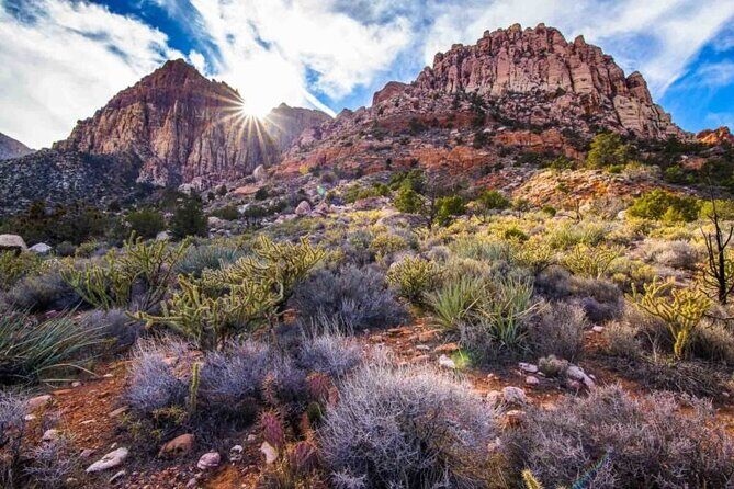 The Ultimate Red Rock Canyon Scenic Experience - Who should consider this tour?