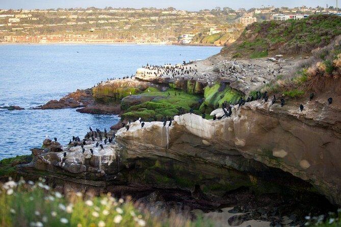 The Ultimate San Diego Tour - Key Points