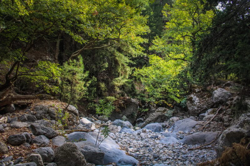 The Unique Tour of Samaria Gorge - Introduction to the Tour Experience