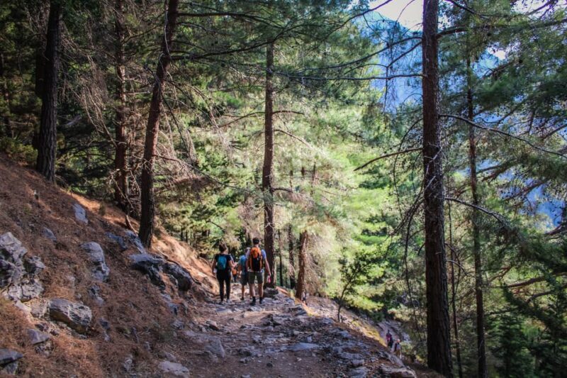 The Unique Tour of Samaria Gorge - The Itinerary in Detail