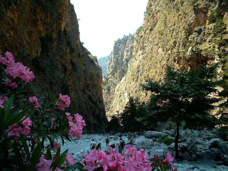 The Unique Tour of Samaria Gorge - What to Expect at Each Stop