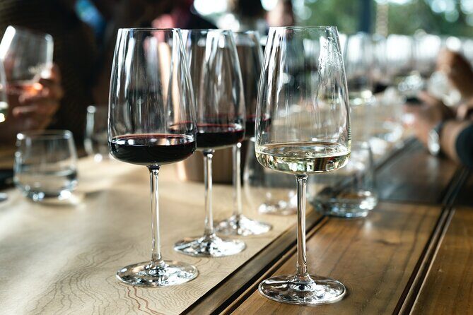 The Urban Wine Tour - With Exclusive experience at Smith & Sheth - Overall Experience and Who It’s Perfect For