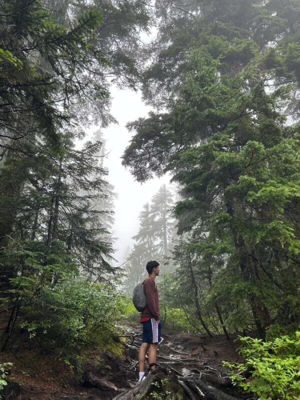 The Vancouver Summit Walk - Practical Details and Value