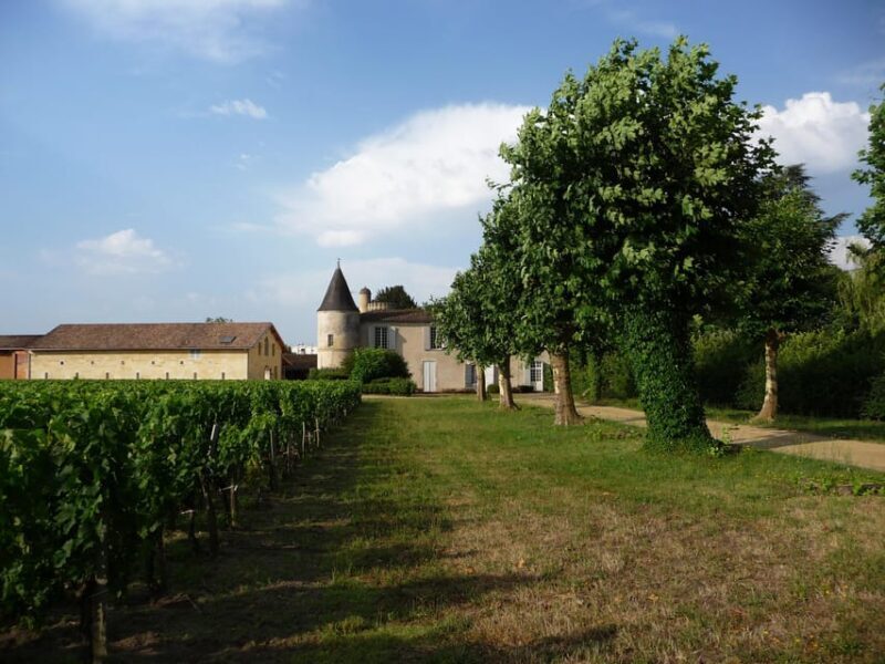 The vertical at Château Cruzeau - Key Points