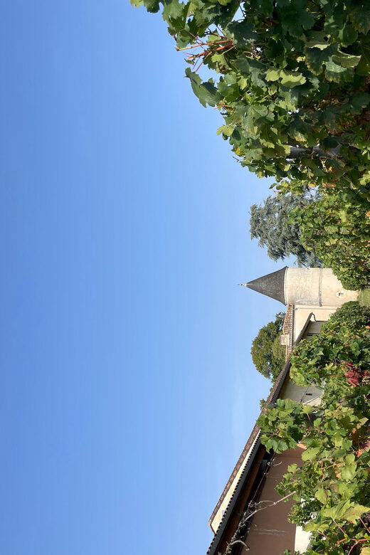 The vertical at Château Cruzeau - FAQ
