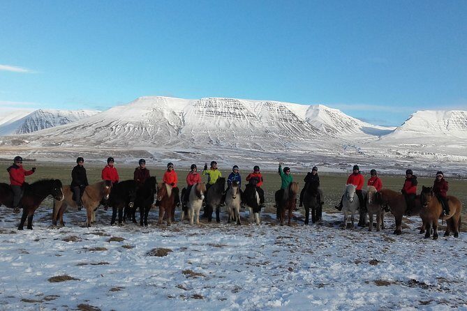 The Viking Horse Riding Experience in North Iceland - Authentic Experiences: What Travelers Are Saying