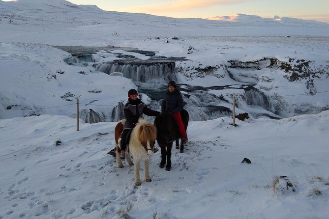 The Viking Horse Riding Experience in North Iceland - Who Should Consider This Tour?