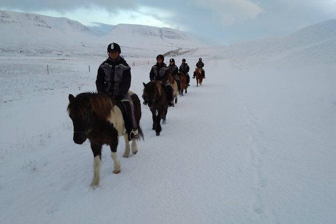 The Viking Horse Riding Experience in North Iceland - The Sum Up
