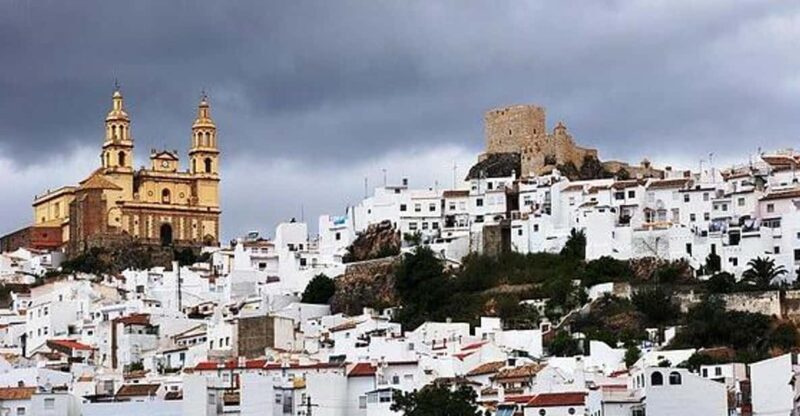 The Villages of Andalusia: Full-Day Trip from Seville - A Full Breakdown of What to Expect