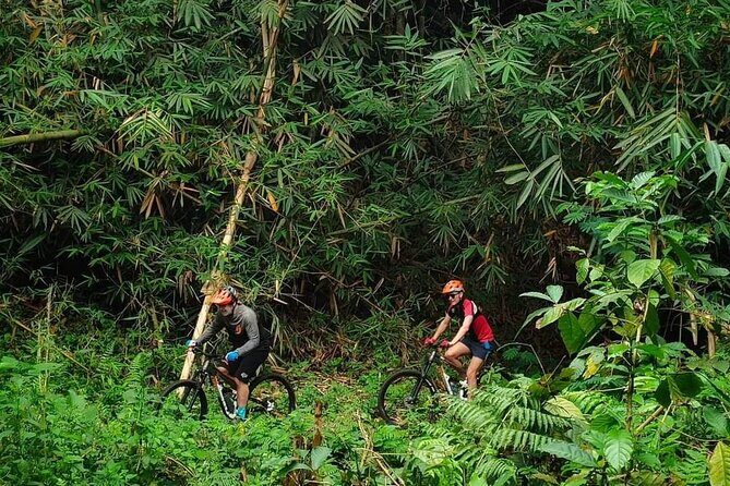 The Volcano Trail  Epic Volcano Cycling Adventure - Introduction: A Ride Through Bali’s Volcanic Heart