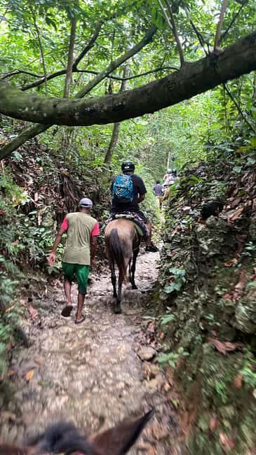 The waterfall of the lemon : Explore the waterfall of the lemon and know its rivers mountains - The Sum Up